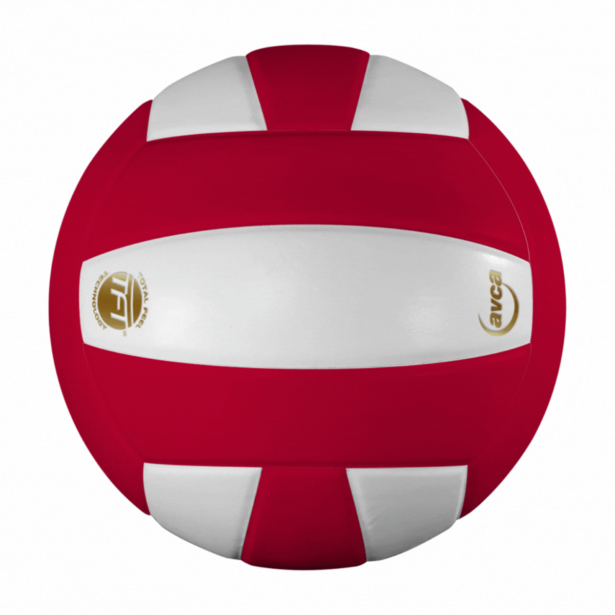 Perfection Leather Volleyball – TOP GEAR ATHLETICS